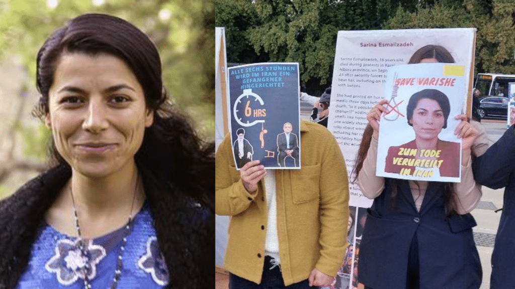 Let’s save Varisha - Verein Welle